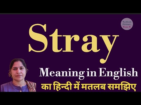 stray meaning l meaning of stray l stray ka kya matlab hota hai l vocabulary l hindi l english