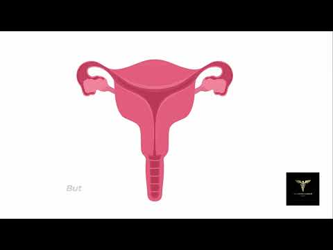 Ectopic Pregnancy Explained: Symptoms, Causes & Life-Saving Diagnosis”