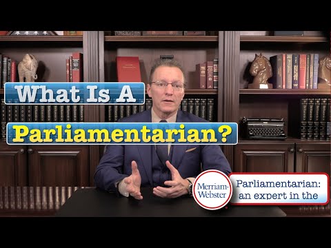 In Case You're Wondering What A Parliamentarian Is...