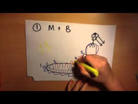 Advantages and Disadvantages of Medieval Castles