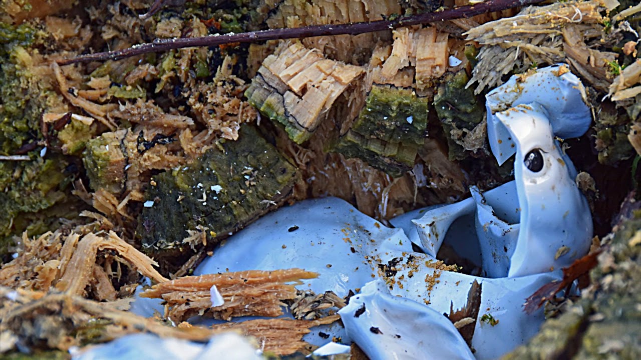 Sone Institute - Where Moth and Rust Consume (new album Oct 2018)