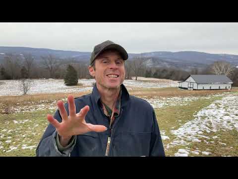 What Is Nature?