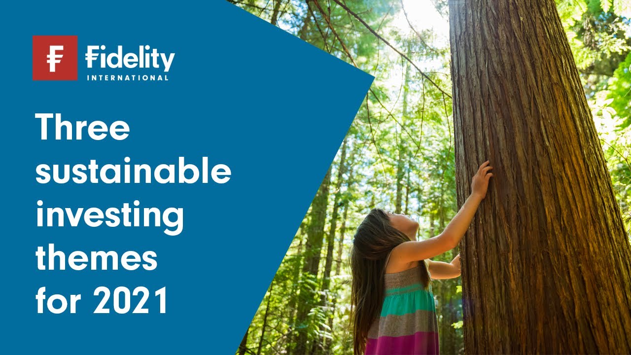 Three sustainable investing themes for 2021