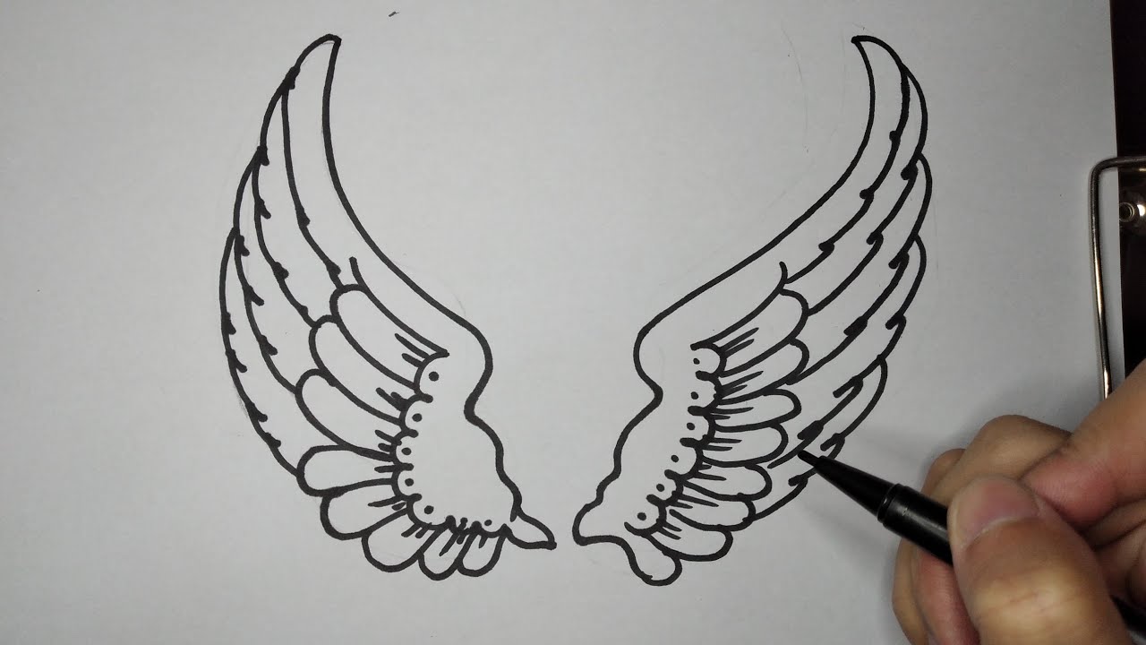 Cómo dibujar alas/How to draw wings