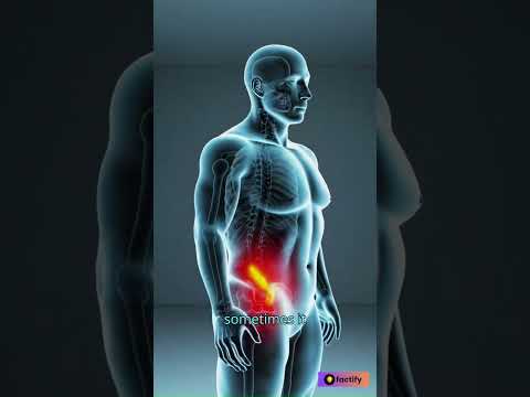 Pancreatitis Explained in 30 Seconds | Causes, Symptoms & Dangers