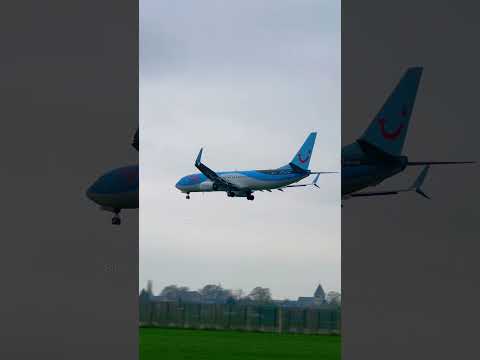 TUI landing at Brussels Belgium 🇧🇪 airport #shortsfeed #shortsvideo #shorts #viral #planespotters