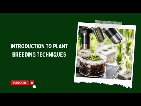 Introduction to Top Plant Breeding Techniques