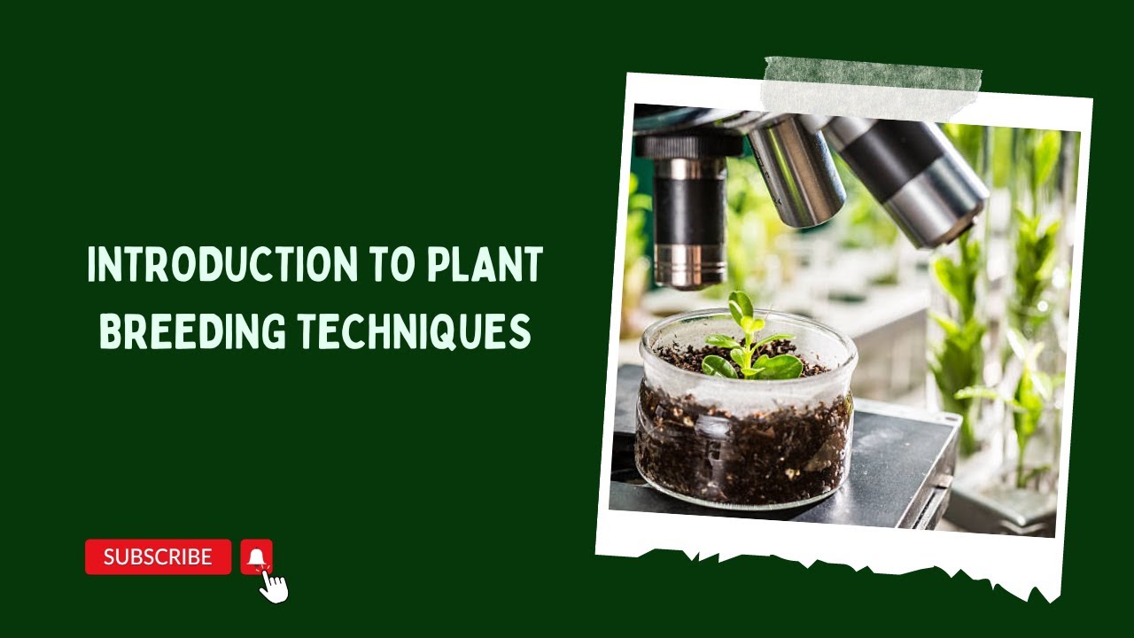 Introduction to Top Plant Breeding Techniques