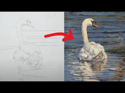 Painting a Mute Swan in Oil