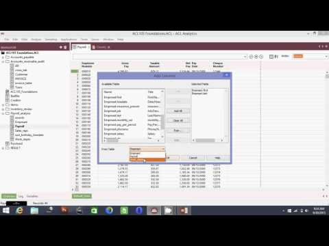 ACL Analytics 11 - Finding The Top 10 Highest