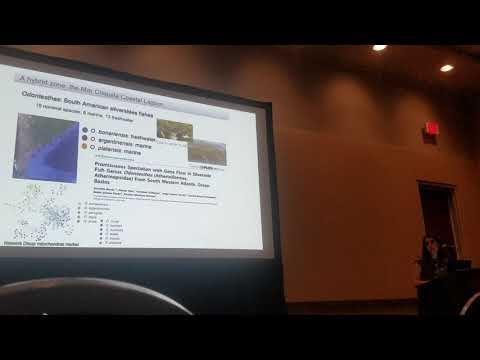 Cardoso: Coastal fish hybrid zone constrained by salinity gradient