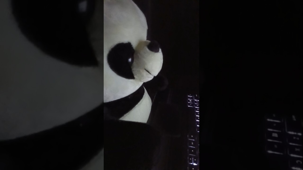 I'm Starting to DSA From Scratch Join Me!