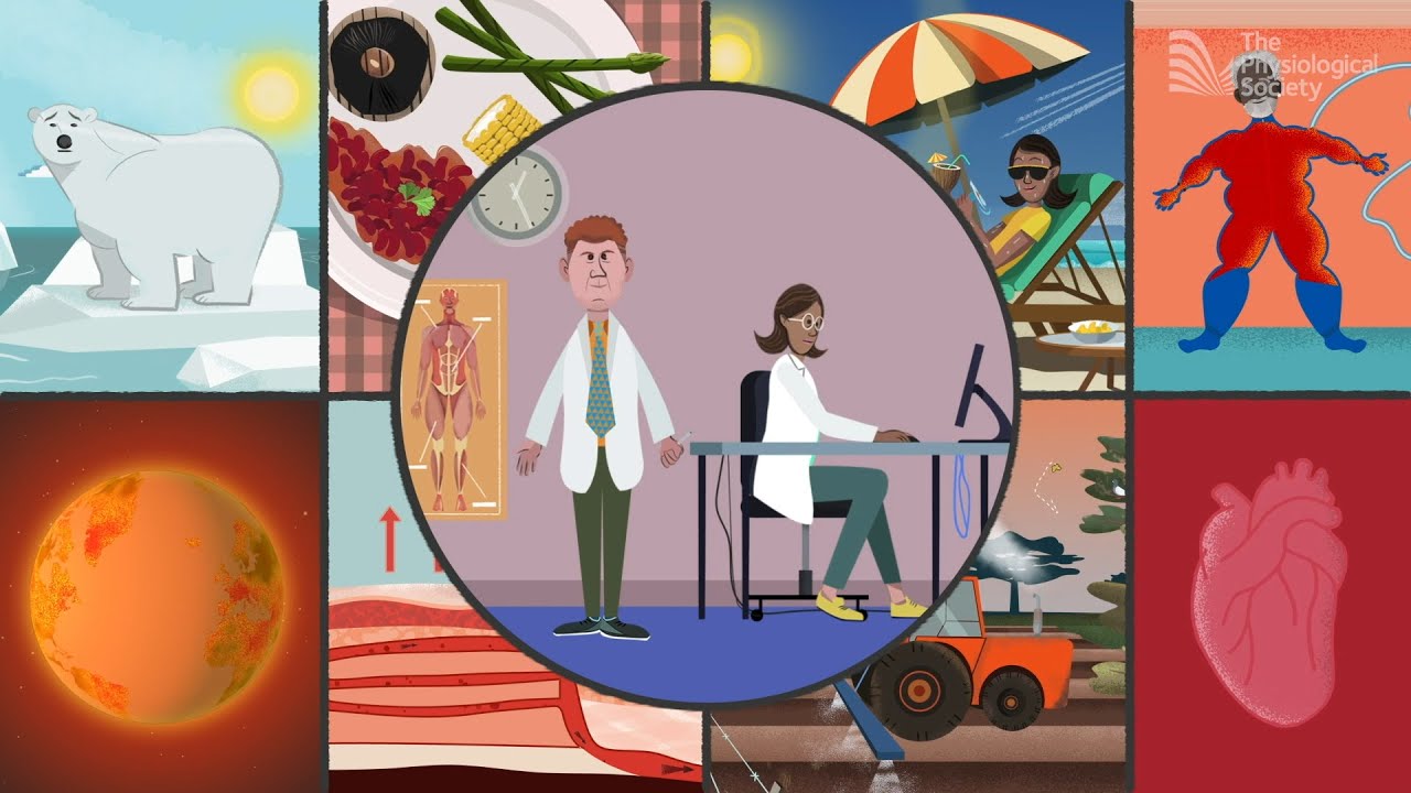 How does climate change affect our bodies?