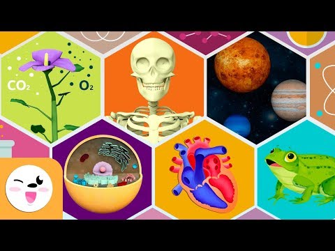 Natural Science for kids - Human body systems, the plant, the cell, the Solar System, animals