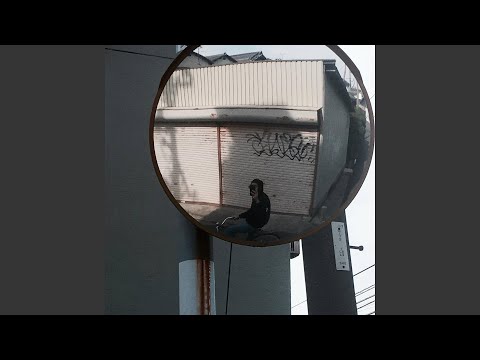 Freeway Freak Accident