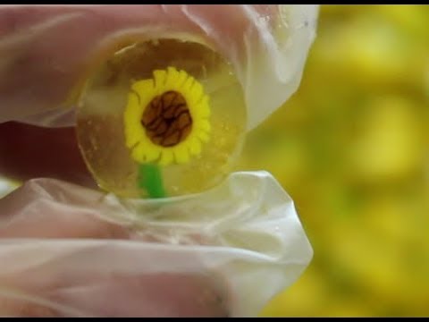 #66 Honey Crystal Sunflower Candies made at Lofty Pursuits Episode