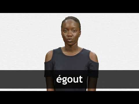 English Translation of “ÉGOUT” | Collins French-English Dictionary