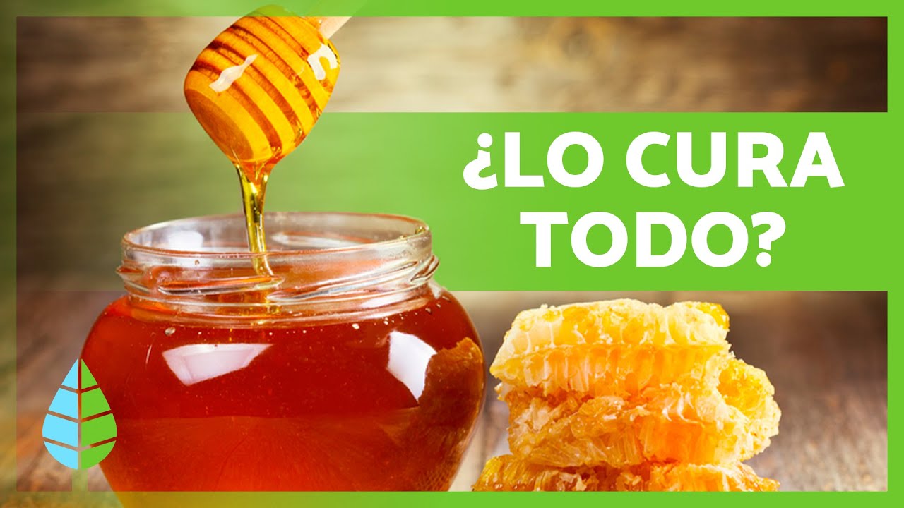8 Increíbles BENEFICIOS de la MIEL 🍯✅ ¿Qué Pasa si Tomas MIEL Cada Mañana?