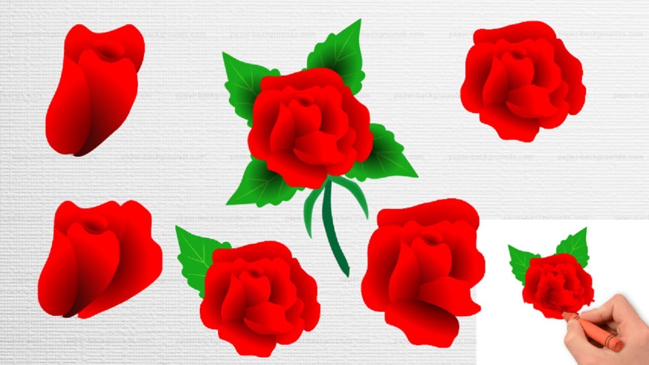 Flowers Color Pages|| Red Rose||Coloring Flower for kids|