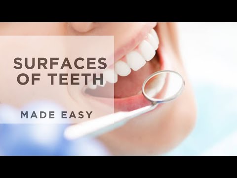 Introduction to Surfaces of Teeth