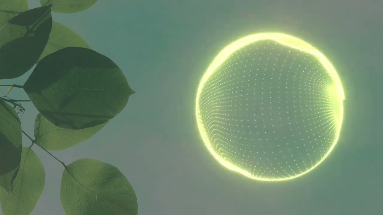 centu. - Leap