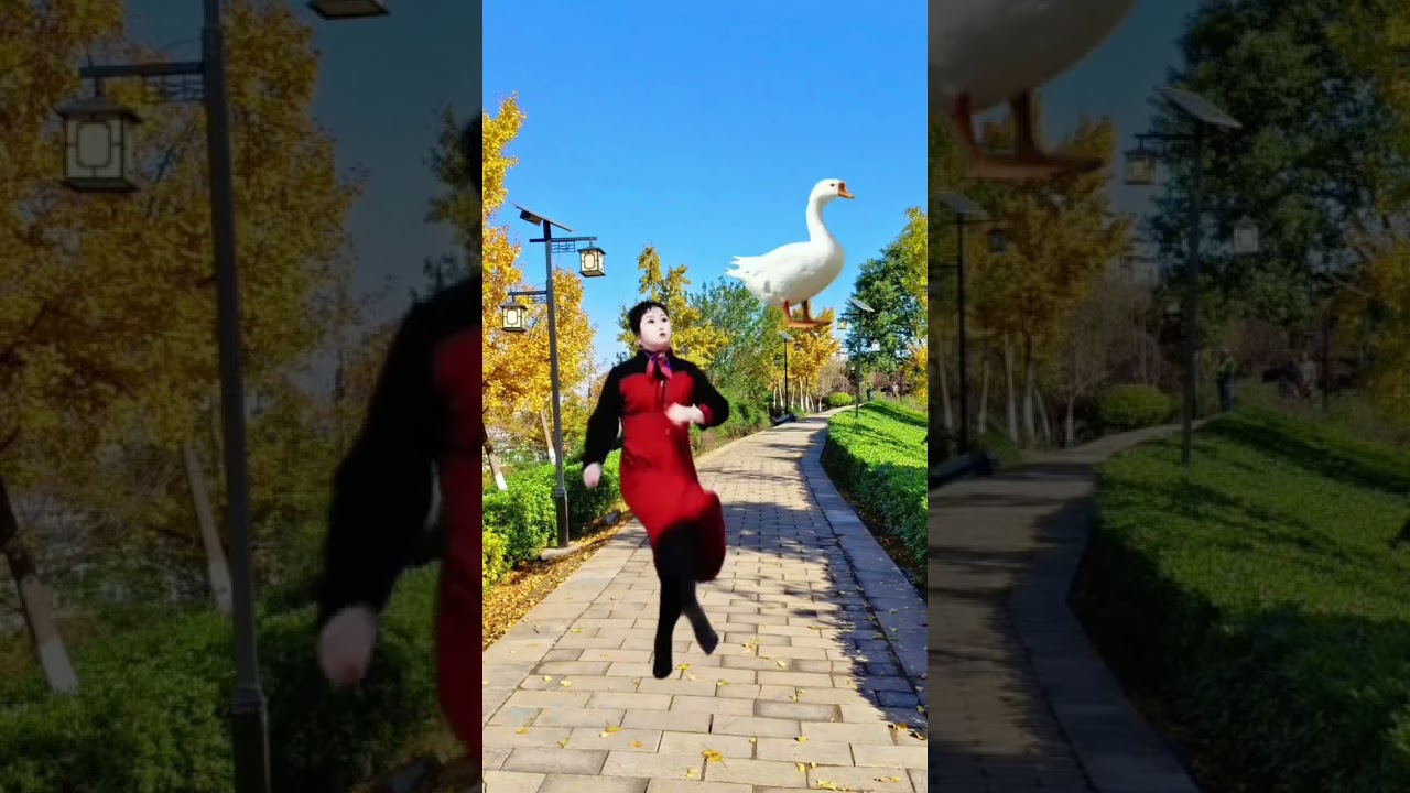 Share interesting videos and have fun as you like #159