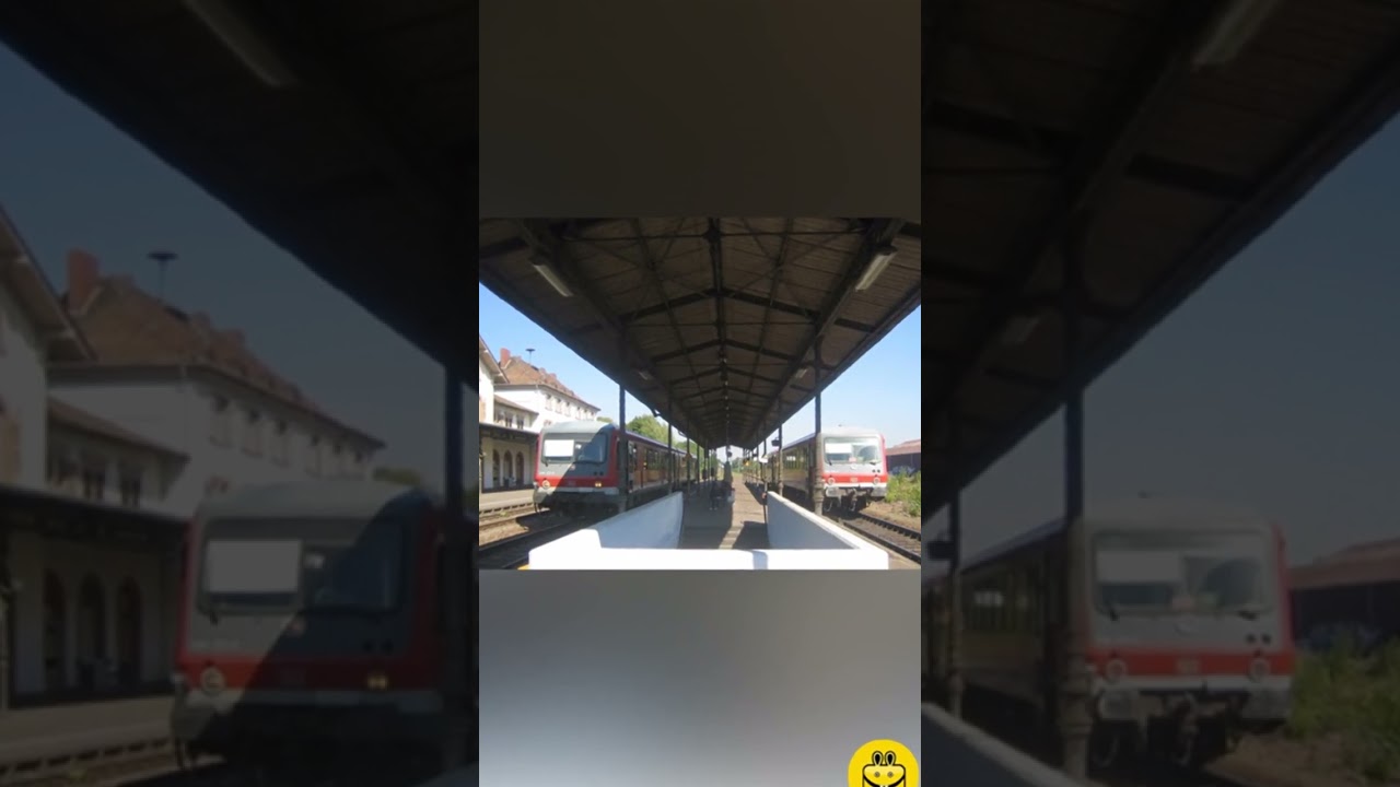 Winden (Germersheim)