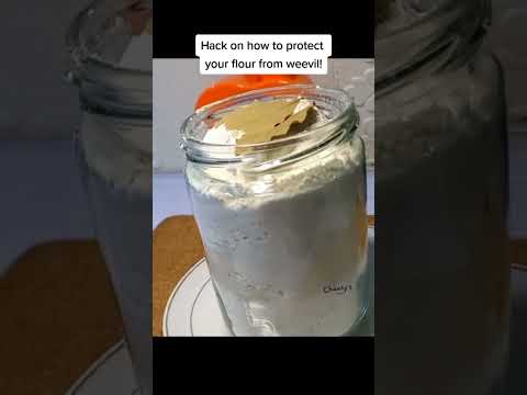 Flour preservation hack against weevil. Please subscribe before leaving. #subscribetomychannel #fyp