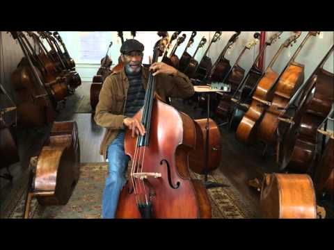 David Gage The Realist LifeLine | Reverb