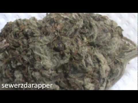 Mr. Nice Guy - Todays Weed