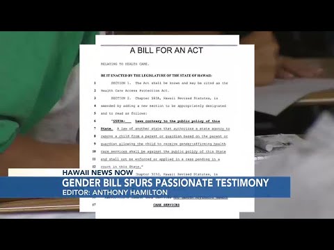 Testimony over gender-affirming care bill gets heated