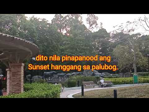 ANONG NAKITA MO SA PALIBOT NANG PARK? #sunsets #fypシ #subscribe