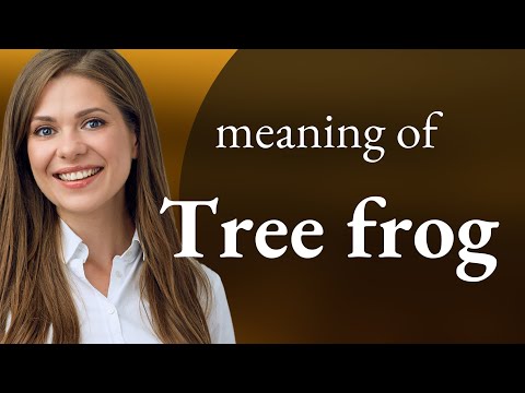 Unraveling the Mystery: What is a Tree Frog?
