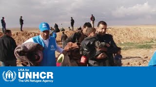 UNITED STATES ASSOCIATION FOR UNHCR - GuideStar Profile