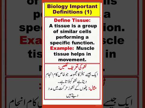Biology Terms Explained: A Crash Course