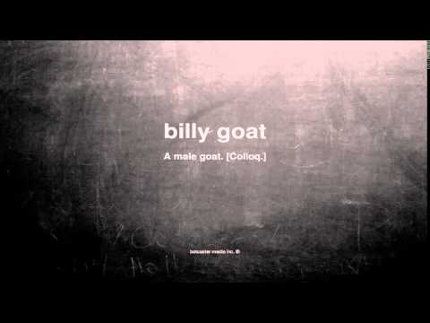 What does billy goat mean