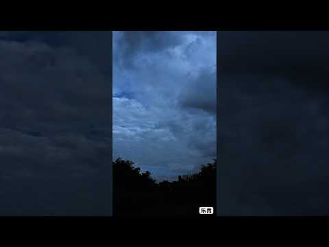 Amazing Moments |Capture The Moment|