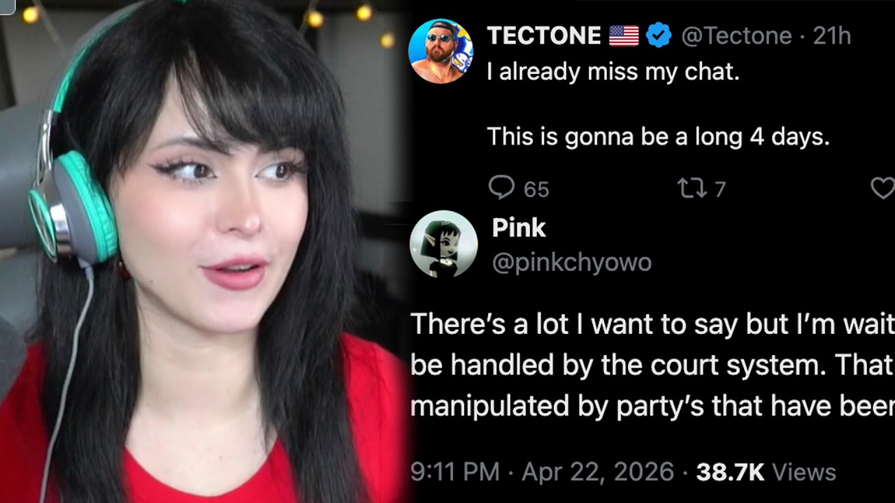 Pinkchyu Speaks Out, Tectone Back to Court | Pirate Software Nukes Mod Team