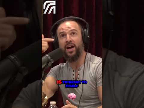 AI CLEVER RESPONSE TO JOE ROGAN #joerogan ai #earth #humanity #interview #tech