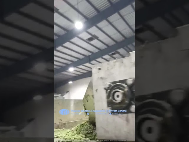 Green Peas Processing Machine - PM Green Peas De Podder Manufacturer ...