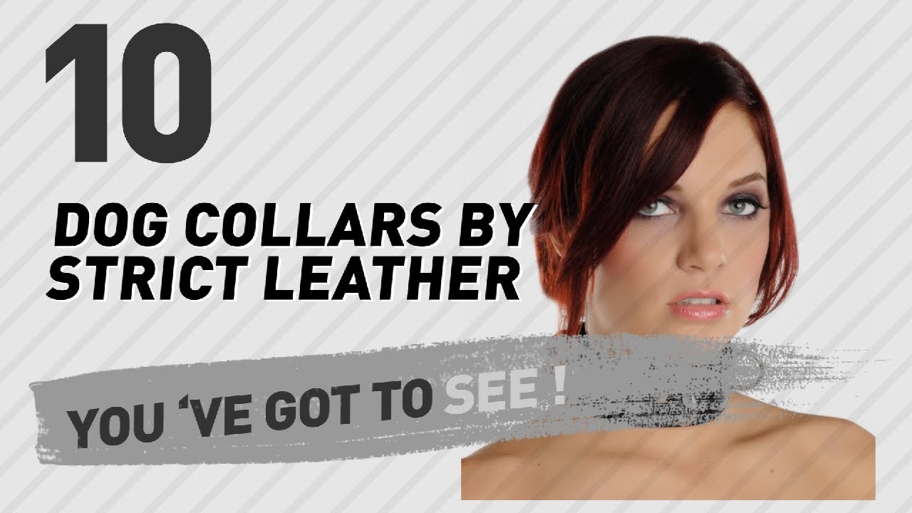 Dog Collars By Strict Leather // Top 10 Most Popular