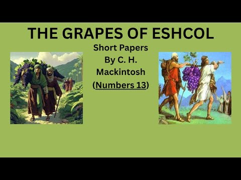 THE GRAPES OF ESHCOL. Short Papers By C. H. Mackintosh – Down to Earth ...