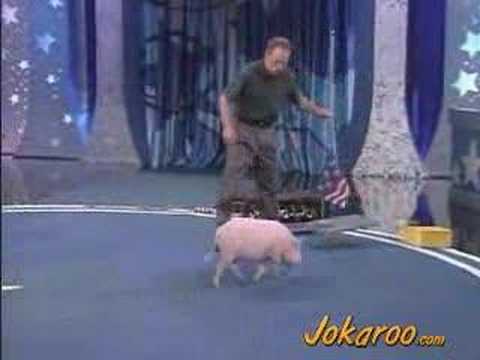 Amazing Animal Tricks! | The BEST LOL Blog