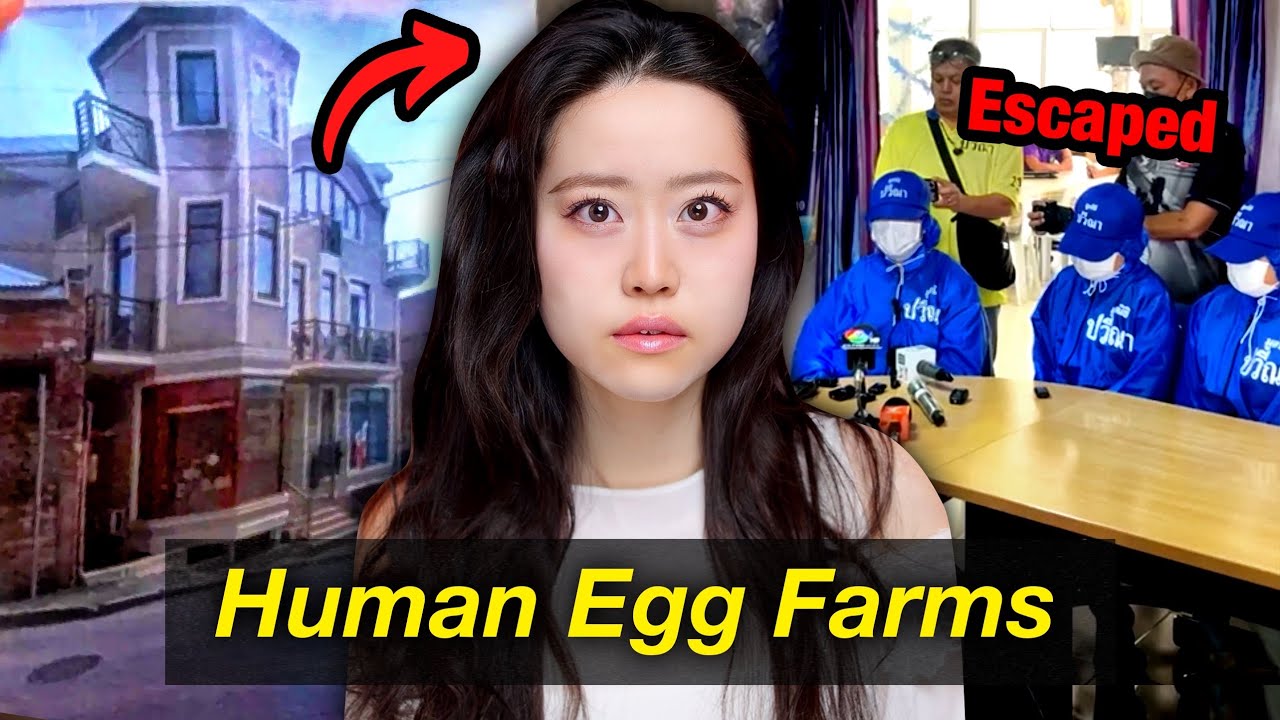 The Dark Reality of Human Egg Farms: A Tale of Exploitation and Human ...