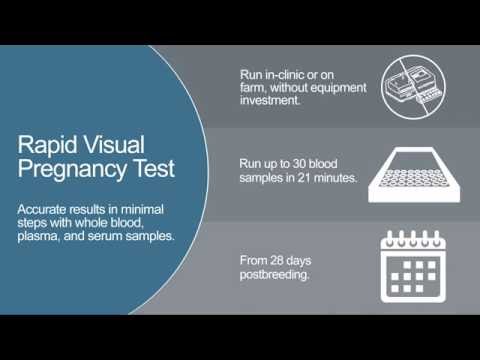 IDEXX RVPT Promo ENGLISH