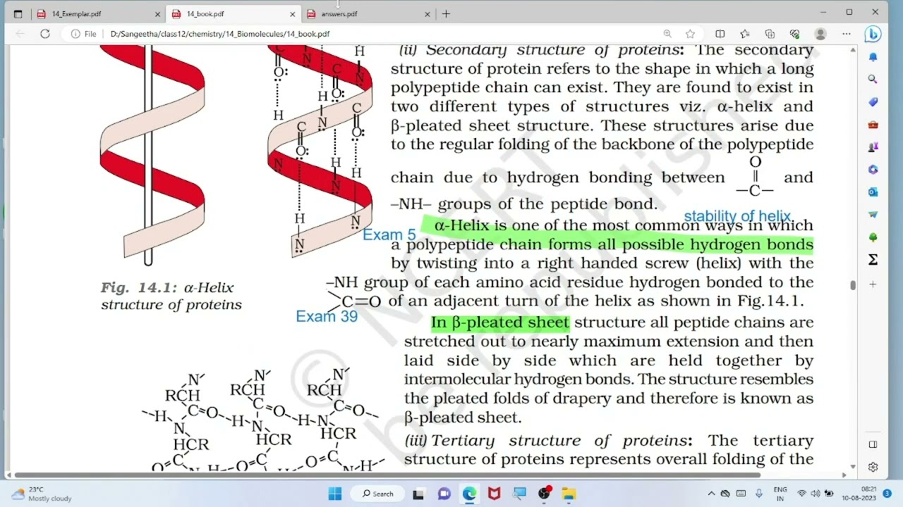 NCERT Class 12 Chemistry Exemplar - Chapter 14 BioMolecules
