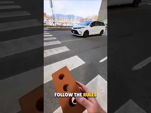 आयरलैंड में ईंट से ज़ेबरा क्रॉसिंग|Zebra crossing with Brick in Ireland 😳|#shorts#ytshorts