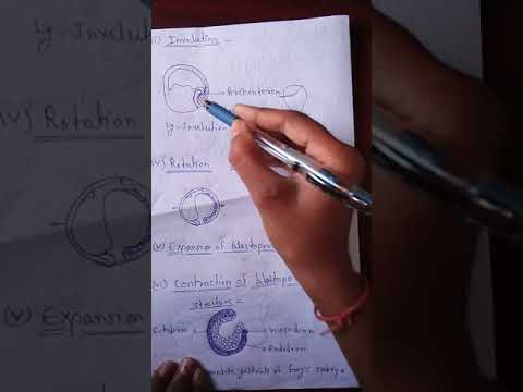 B.sc.1 development of frog 🐸 embryo (part - 2)