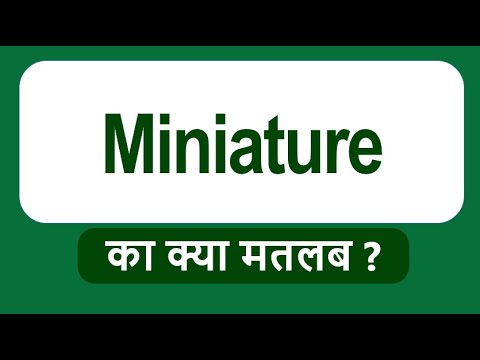 Meaning of Miniature? | Miniature ka kya Matlab hai? | Daily use Words