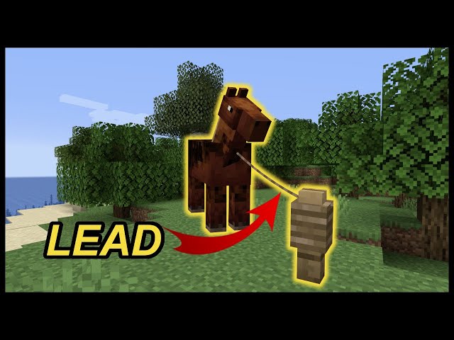 Ranking the Tools in Minecraft: From least to most useful